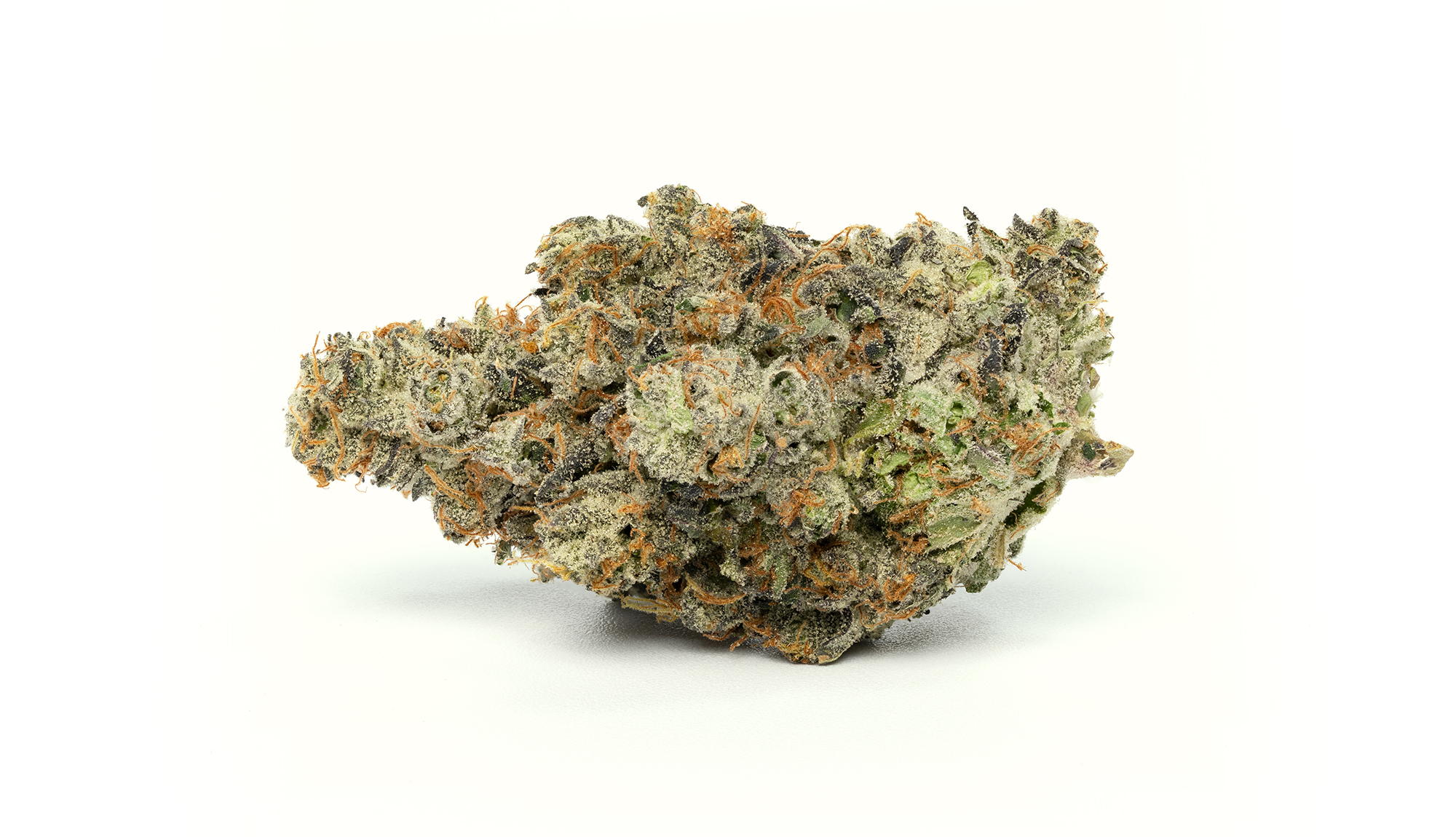 יא האמי - Ya Hemi היברידי T20/C4 BLKMKT - Pano Pharm Orders