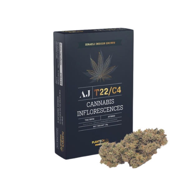 איי ג'יי - AJ היברידי T22/C4 פלאנטק מדיקל - Plantech Medical - Pano ...